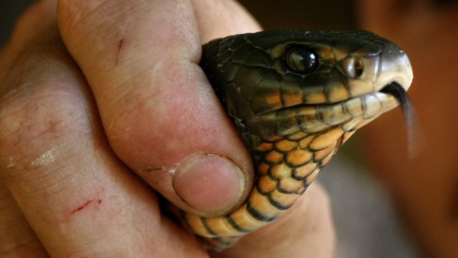 6 Types of Anxiety Disorders | Overcoming Depression